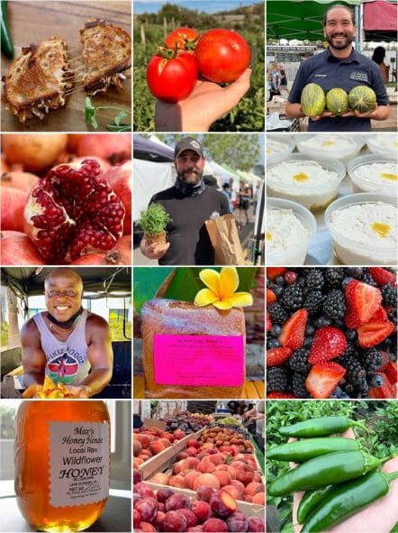 Shop & Eat Like A Local! | North County Daily Star