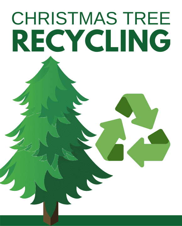 Escondido Christmas Tree Recycling Information | North County Daily Star